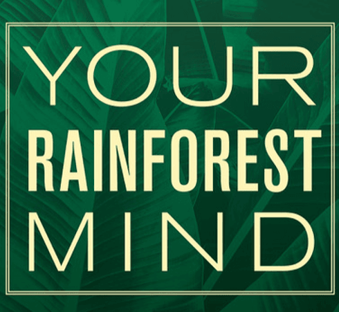 Book Review: Paula Prober's Your Rainforest Mind - InterGifted
