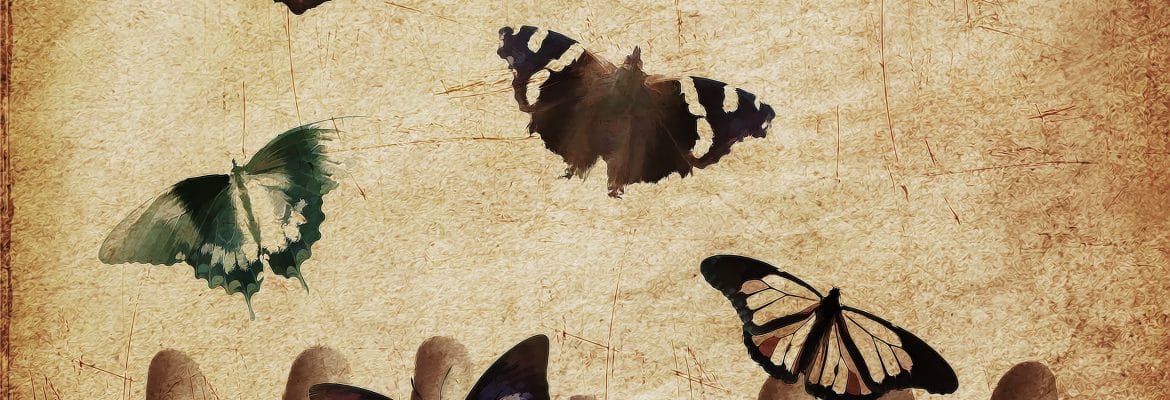 Conversations on Gifted Trauma Podcast - InterGifted