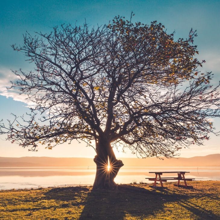 Articles about Giftedness on InterGifted's Blog
