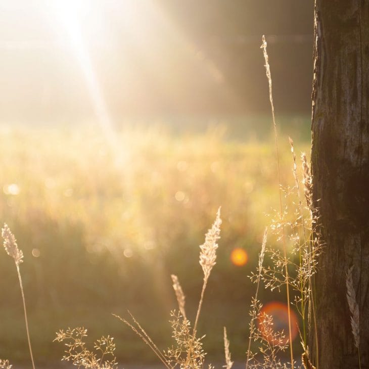 Articles about Giftedness on InterGifted's Blog
