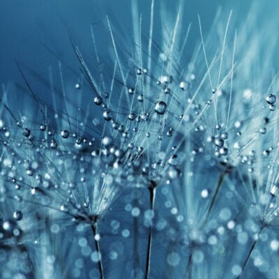 Conversations on Gifted Trauma Podcast - InterGifted