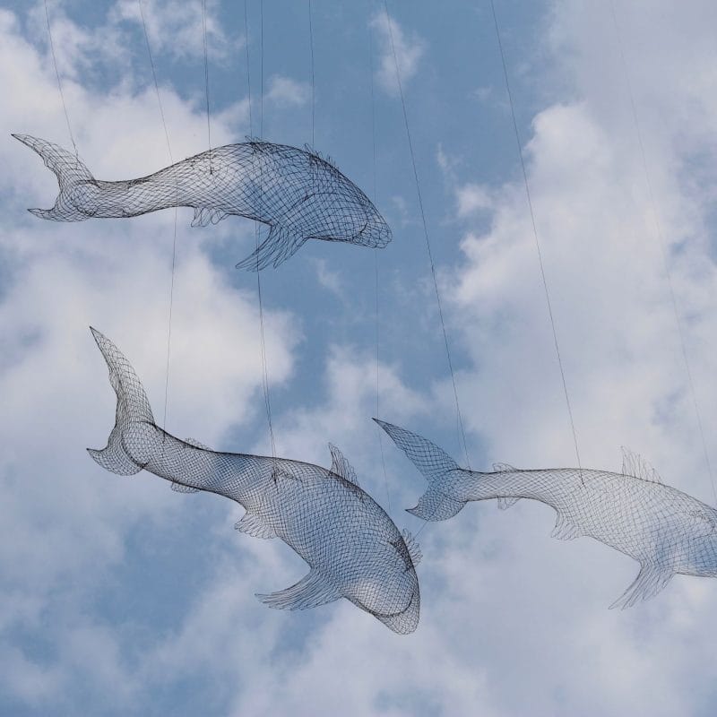 Conversations on Gifted Trauma Podcast - InterGifted