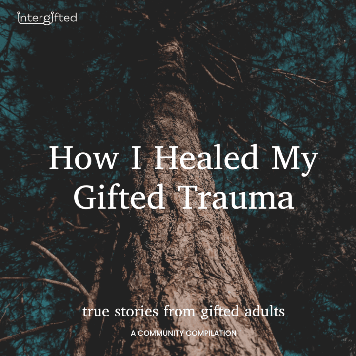 Supporting Gifted People: Guidelines for Therapists & Coaches (and ...